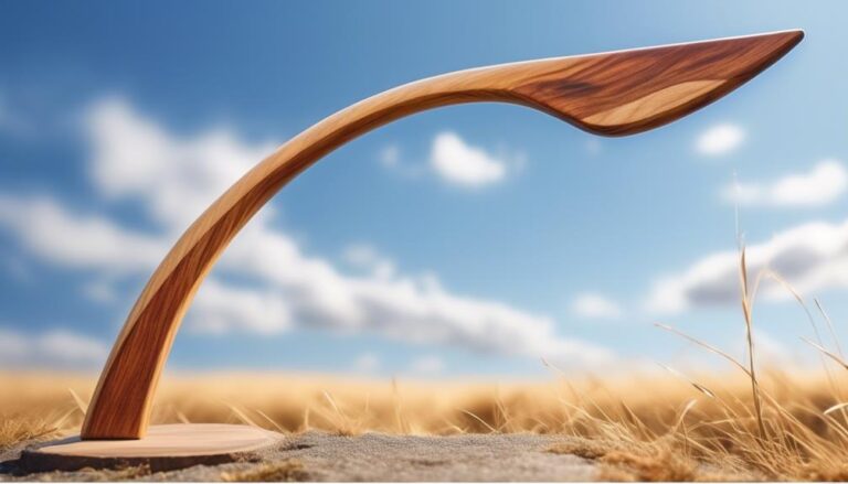 What Are Boomerangs - FATSIL